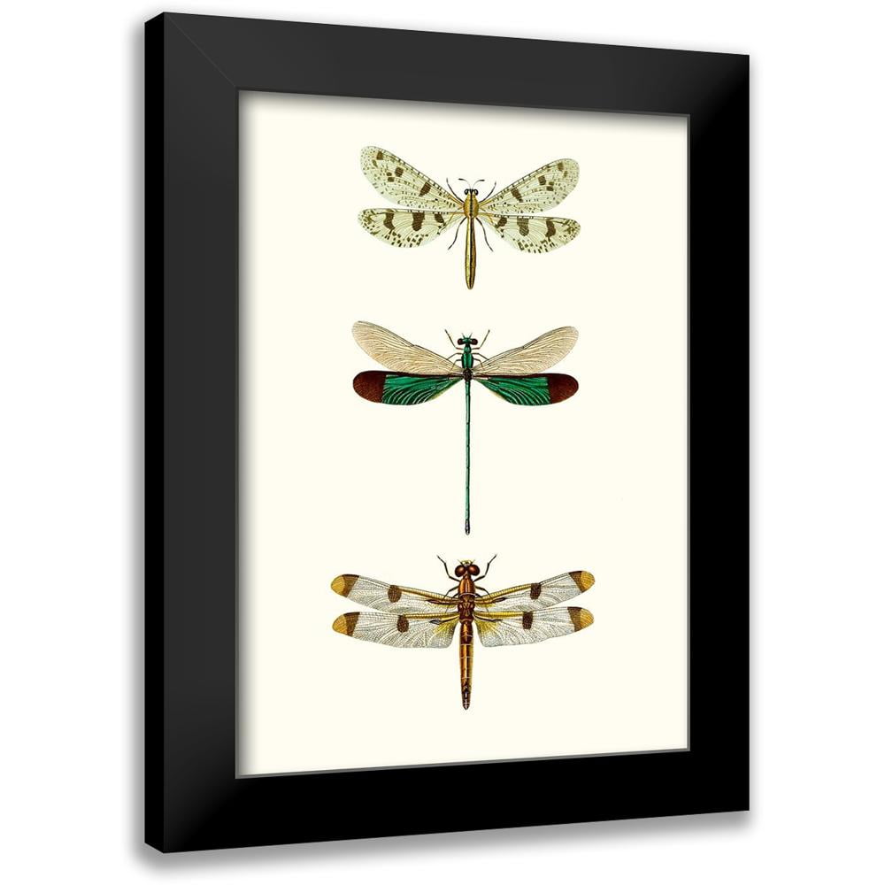 Blanchard 14x18 Black Modern Framed Museum Art Print Titled ...