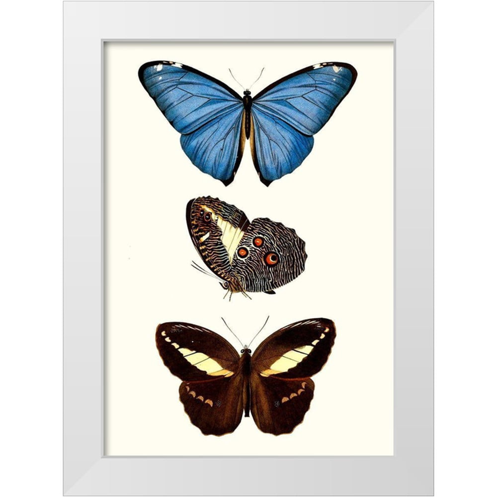 Blanchard 14x18 White Modern Wood Framed Museum Art Print Titled ...