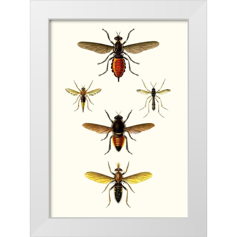 Blanchard 24x32 White Modern Wood Framed Museum Art Print Titled ...
