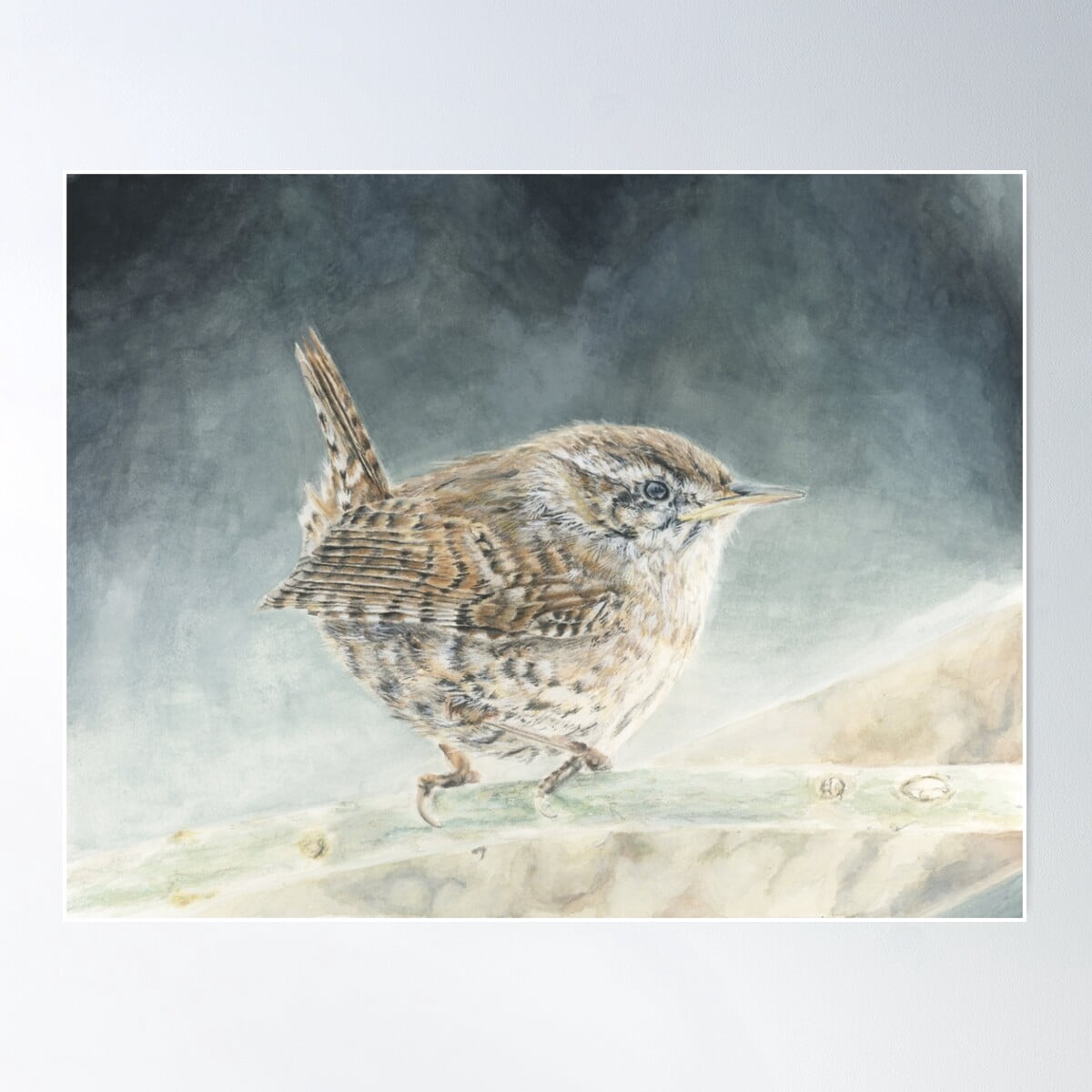 Blanche The Wren Poster Wall Art, Modern Wall Decor For Living Room ...