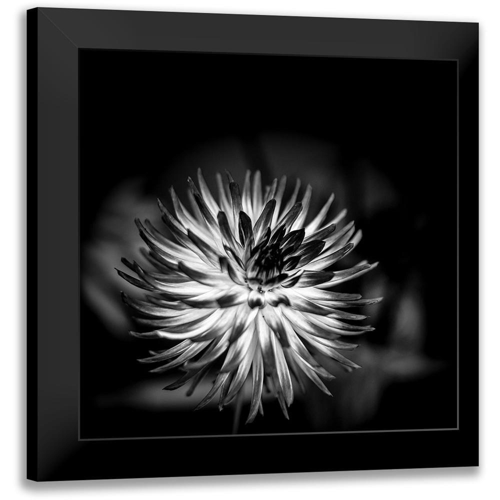 Bland, Richard 15x15 Black Modern Framed Museum Art Print Titled ...