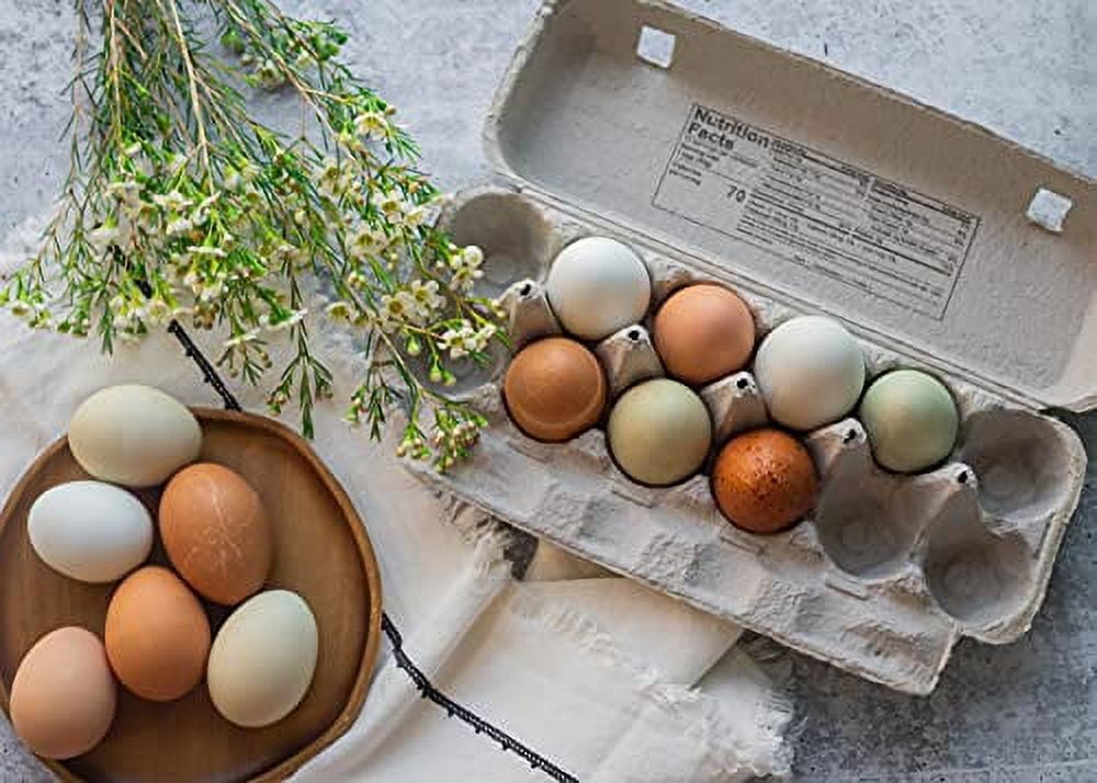 Blank 12-Egg Flat Top Paper Pulp Egg Carton with Nutrition Facts, Safe ...