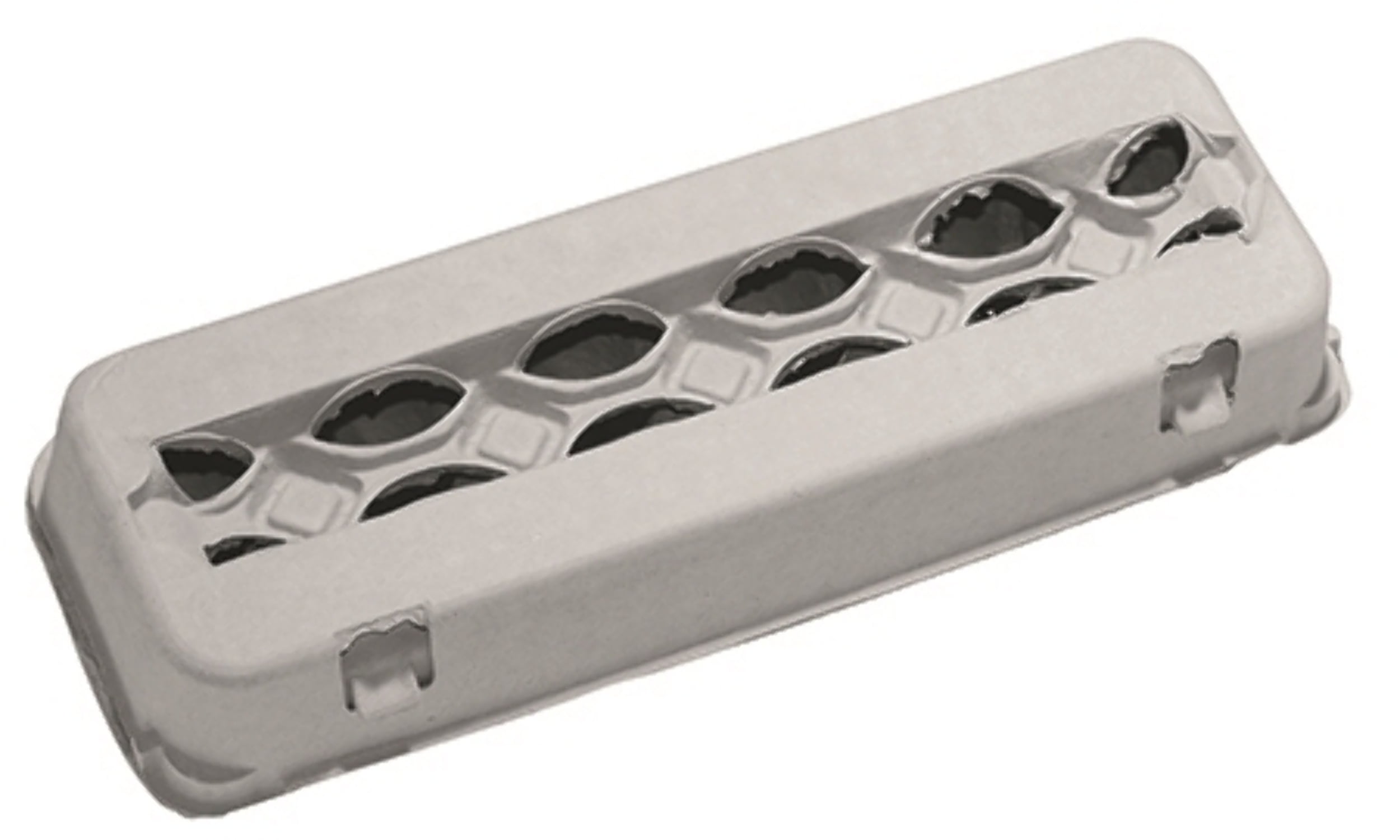 Blank 12-Egg View Style Paper-Pulp Carton - 125 pack - Walmart.com