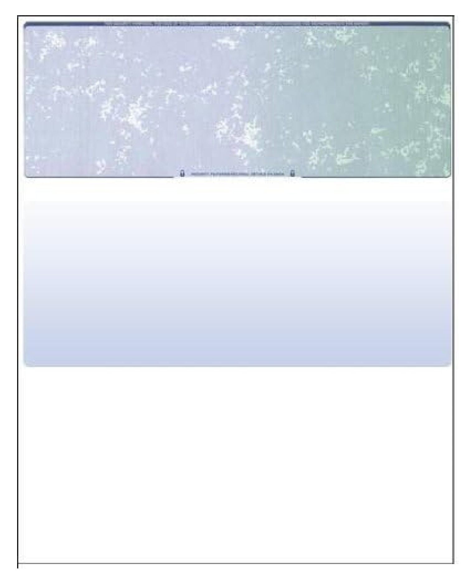 Blank Check Paper - 500 Computer Stock Checks Compatible with ...