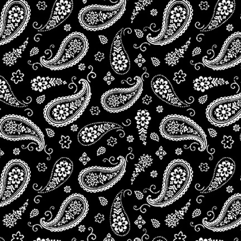 Blank Quilting Paradox Paisley Black Cotton Fabric By The Yard ...