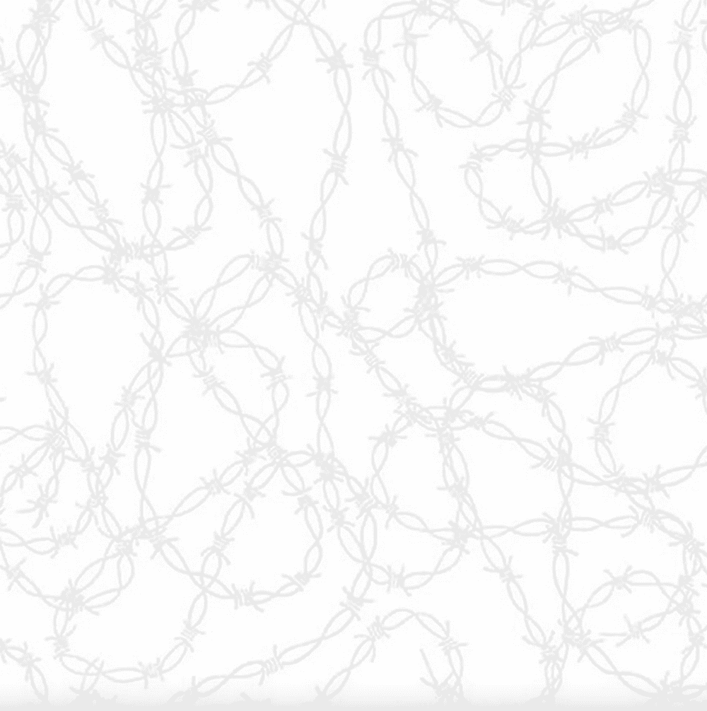 Blank Quilting Western Stock Barbed Wire White Cotton Fabric By The ...