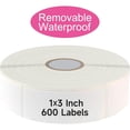 Blank Removable Freezer Labels with Perforation Line. Waterproof and ...