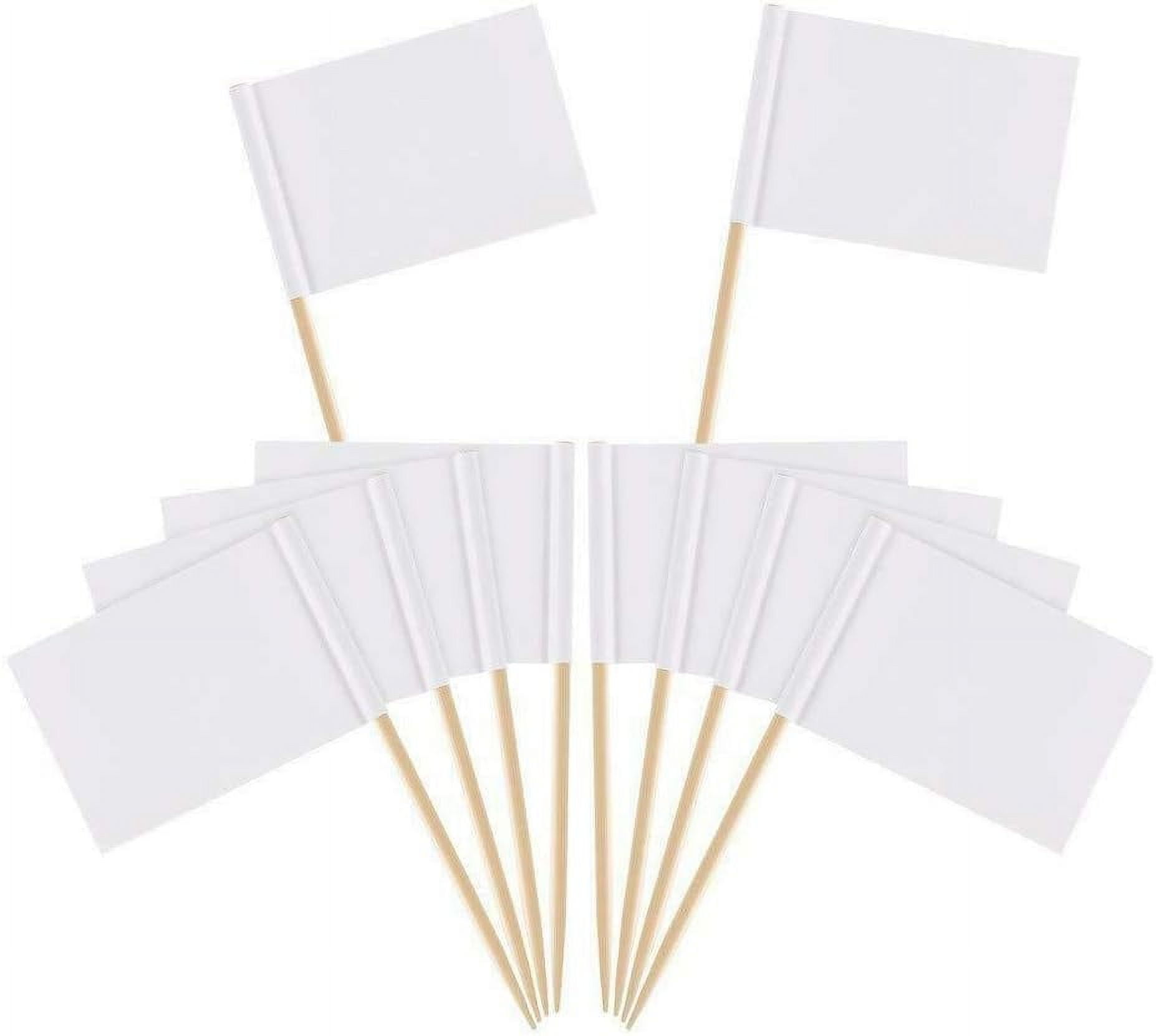 Blank Toothpick Flag Small Mini Labeling Marking DIY Stick Flags for ...