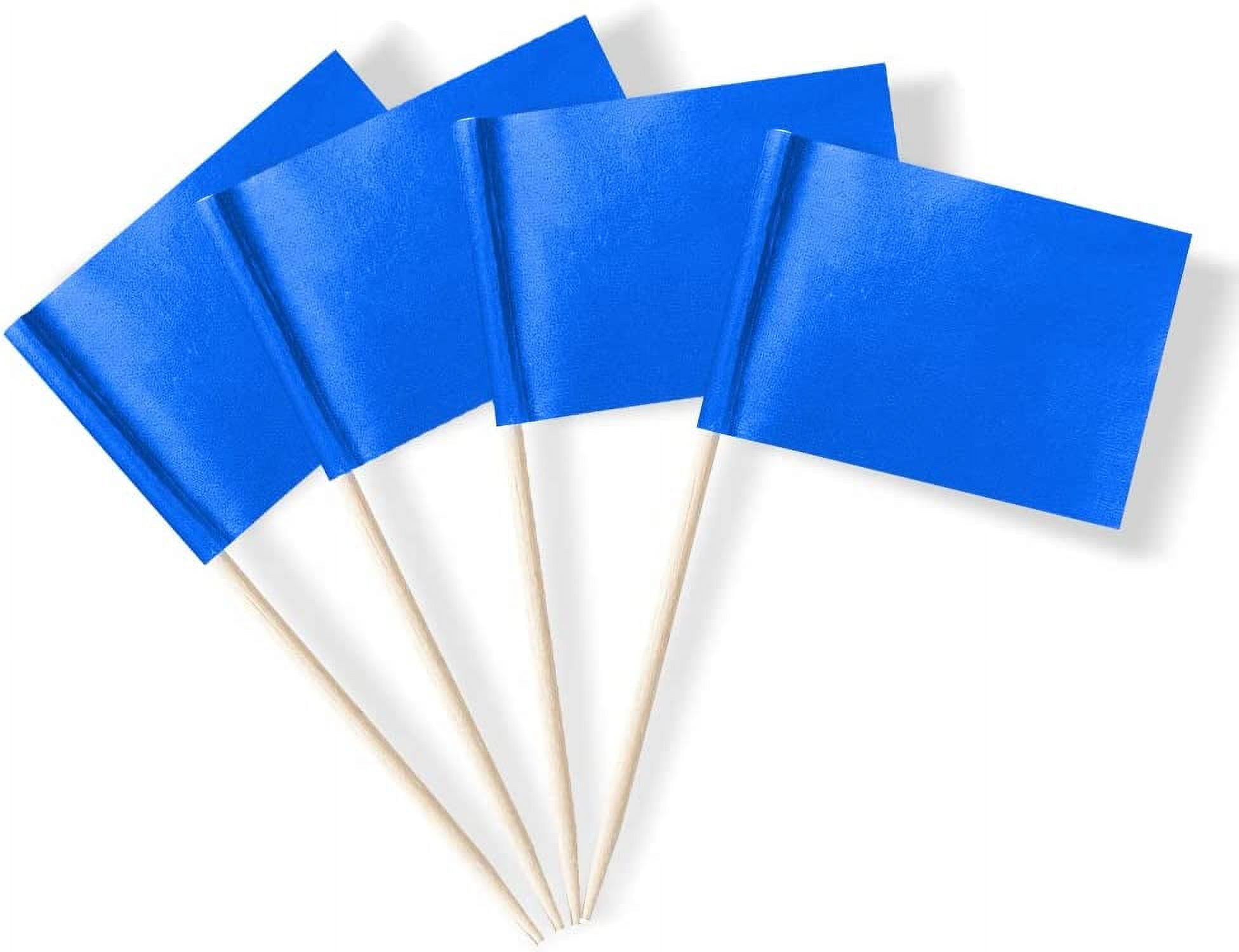 Blank Toothpick Flags Labeling Marking Flag Small Mini Stick Flags for ...