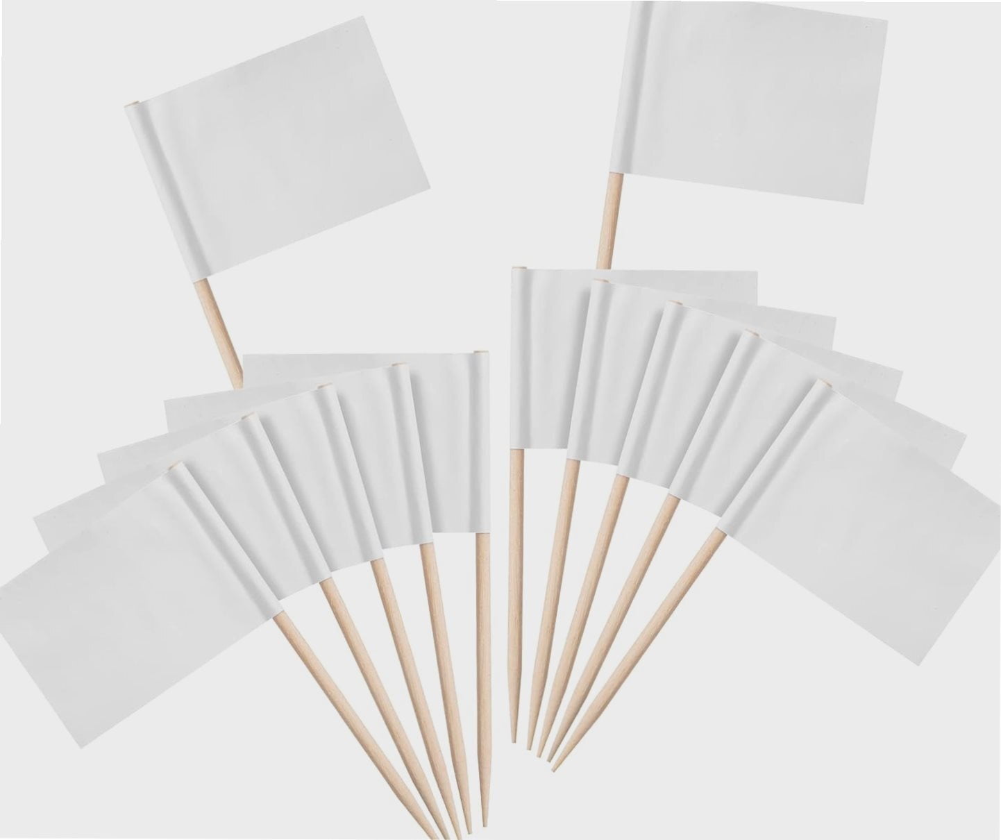 Blank Toothpick Flags, White, 100 Pcs, Cheese Markers, Cheese Labels ...