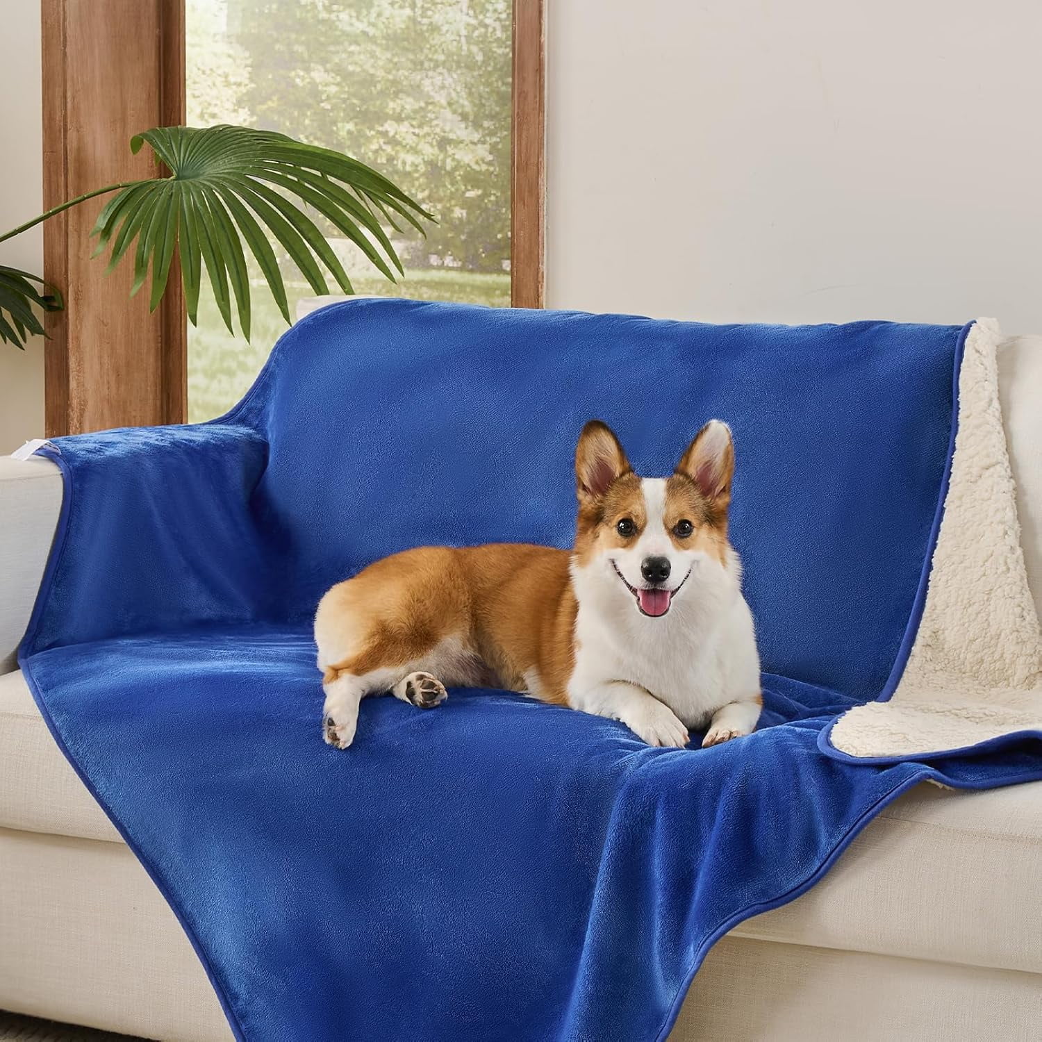 Blankets for Medium Dogs - Puppy Blanket Washable for Couch Protection ...
