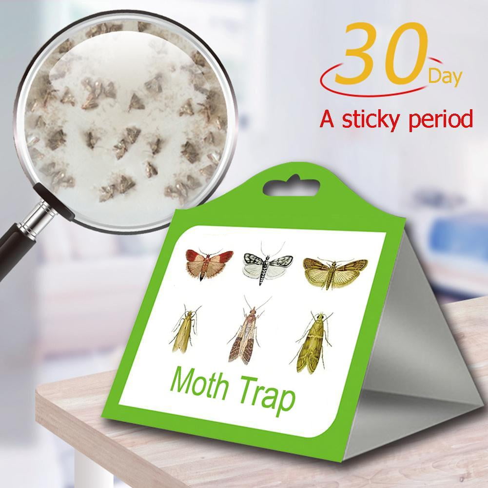 Blarkrus 1/ 6pcs Adhesive Viscose Sticky Traps for Insects - One Sided ...
