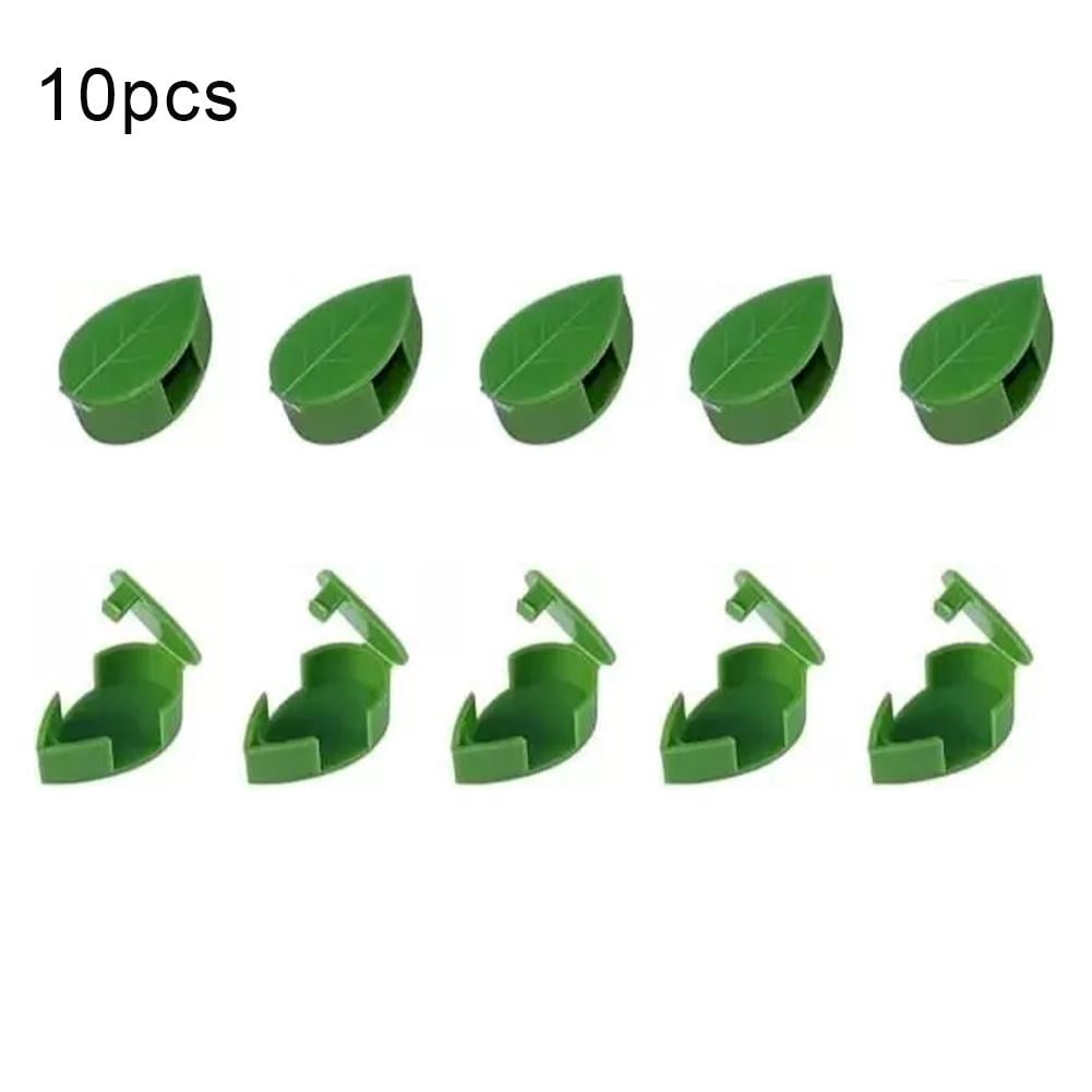 Blarkrus 10 Pieces Plant Climbing Wall Fixture Clips, Plant Fixer ...