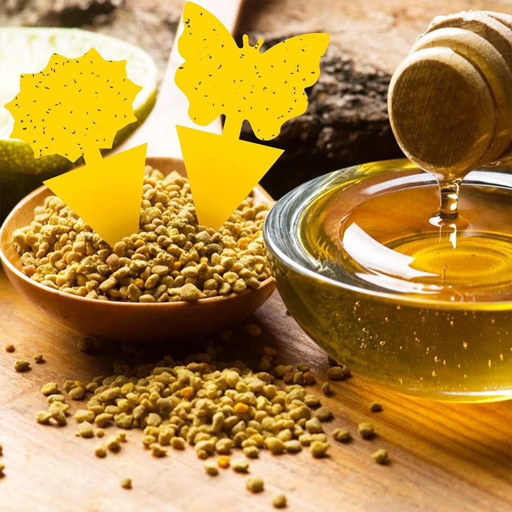 Blarkrus 12PC Yellow Stiy Fly Trap Paper Traps Fruit Flies Aids Insect ...