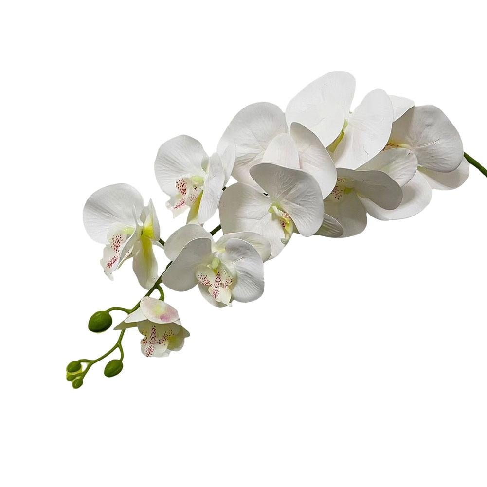 Blarkrus Artificial Phalaenopsis Fake Potted Plant Flower Orchid Decorj ... Blarkrus Artificial Phalaenopsis Fake Potted Plant Flower Orchid Decorj ...