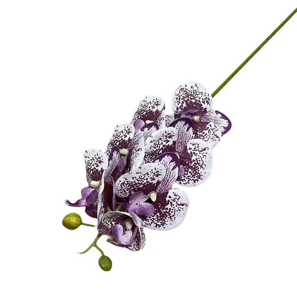 Blarkrus Artificial Phalaenopsis Fake Potted Plant Flower Orchid Floral ... Blarkrus Artificial Phalaenopsis Fake Potted Plant Flower Orchid Floral ...