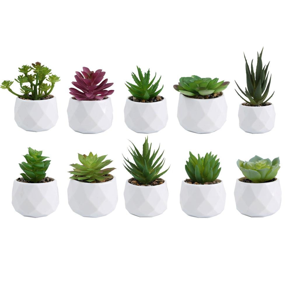 Blarkrus Artificial Potted Plant Succulent Pot Small Faux Fake * Decor ...