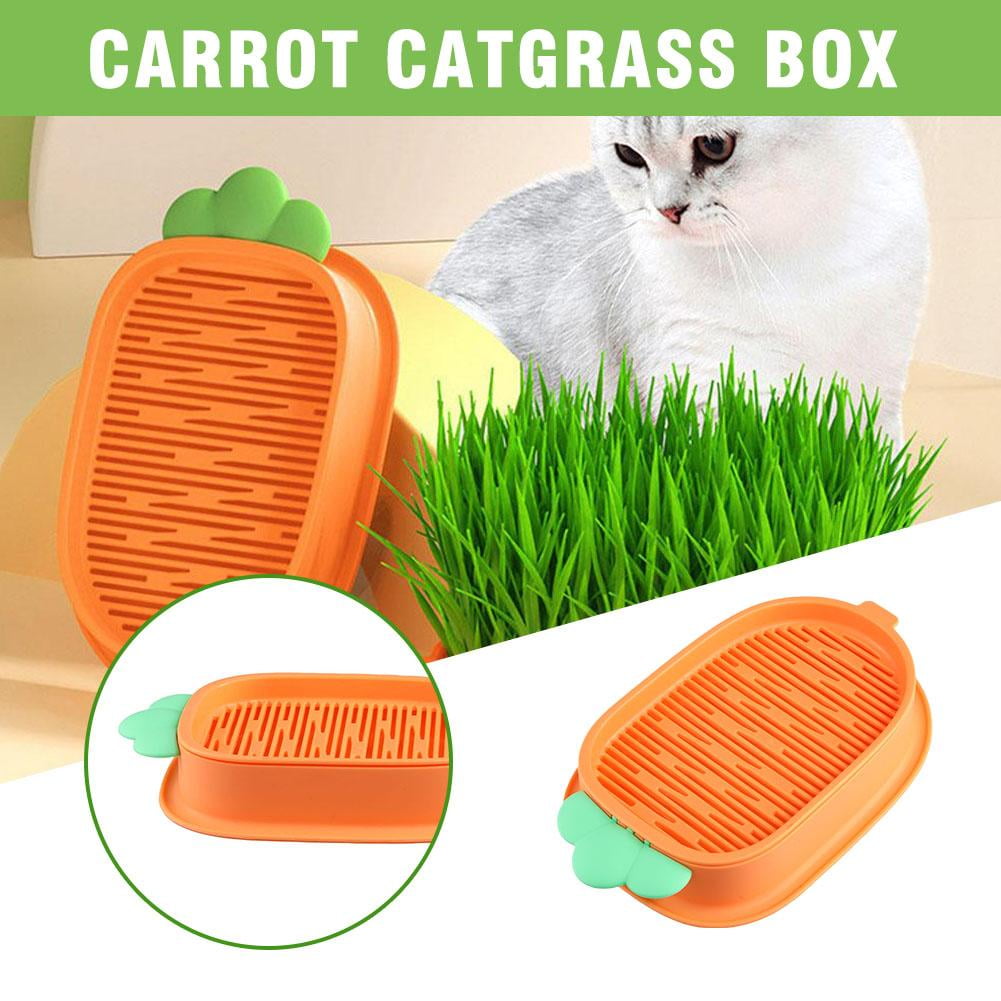 Blarkrus Cat Grass Planting Box Plant Growing Kit Hydroponic Soil-Fr ...