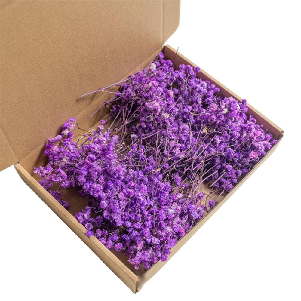 Blarkrus Dried 'S Breath Flowers, Long-Lasting Natural Decor with ...