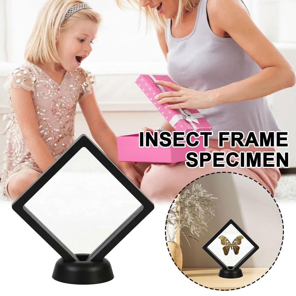 Blarkrus Insect Frame Specimen Real Giant Stag Btle Bug Insect ...