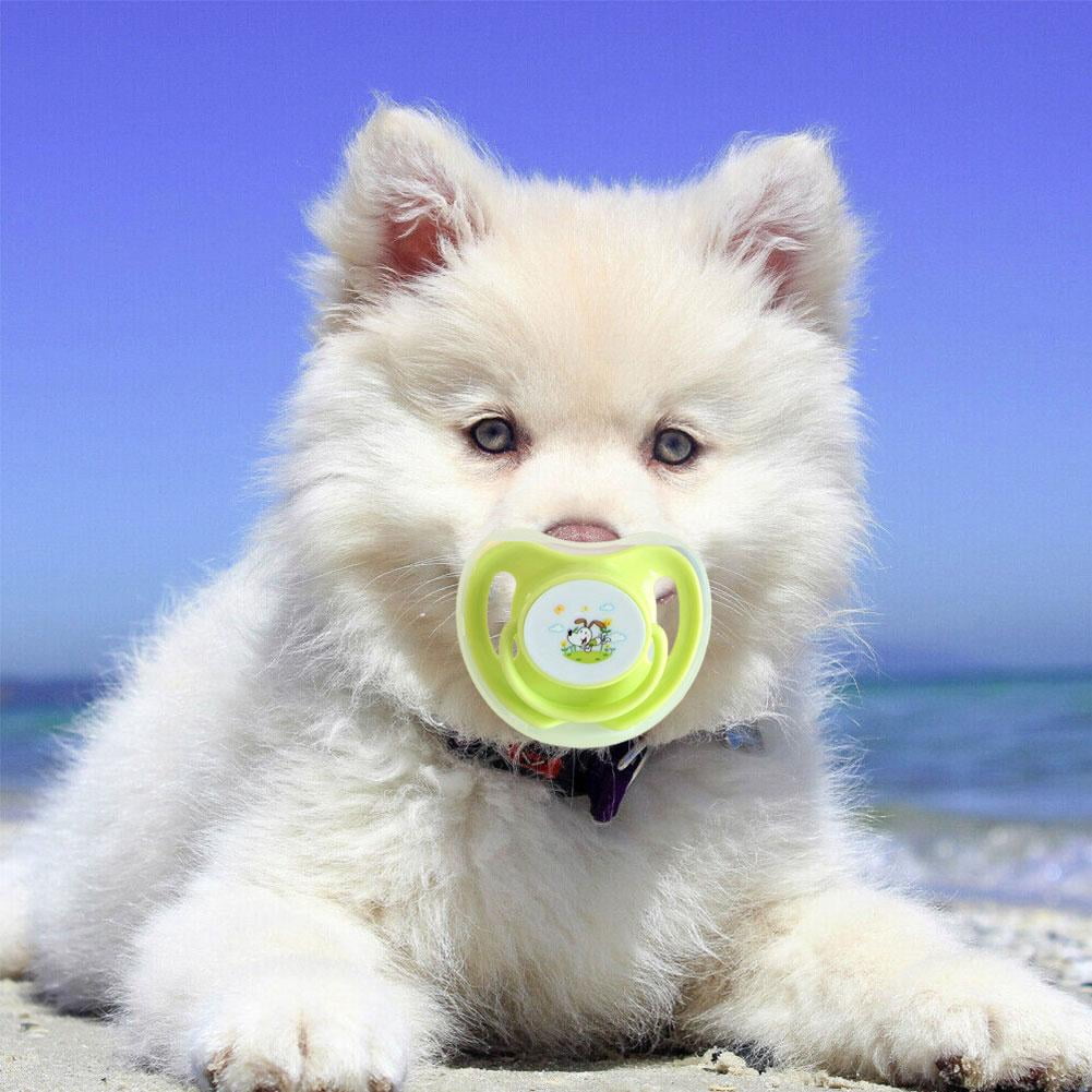 Blarkrus Pet Dog Sile Pacifier Puppy Pacifier Cartoon Cute with ...