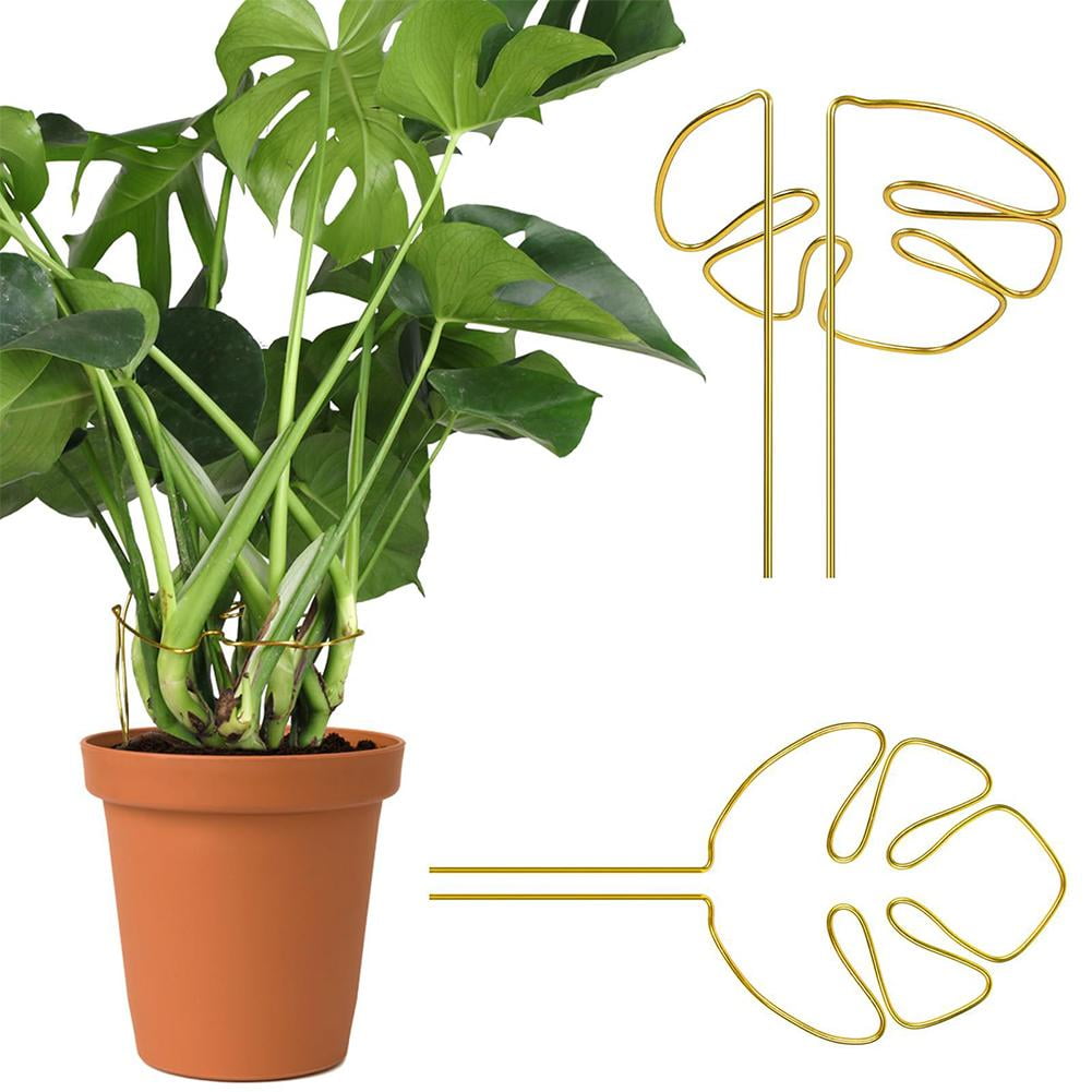 Blarkrus Plant Trellis Monstera Shaped Houseplant port Trellis port ...