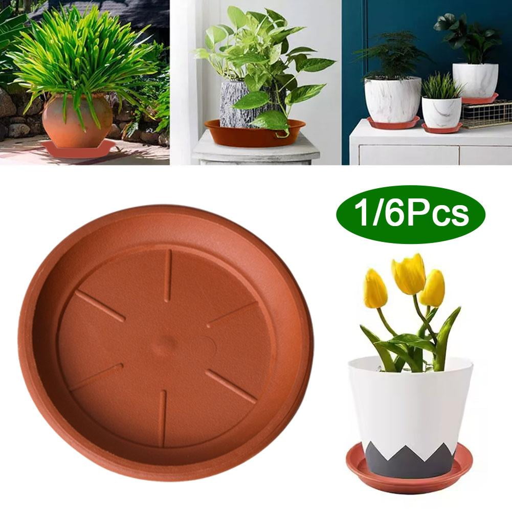Blarkrus Plastic Saucers for Plant Pots, Plant Water Collector Tray ...