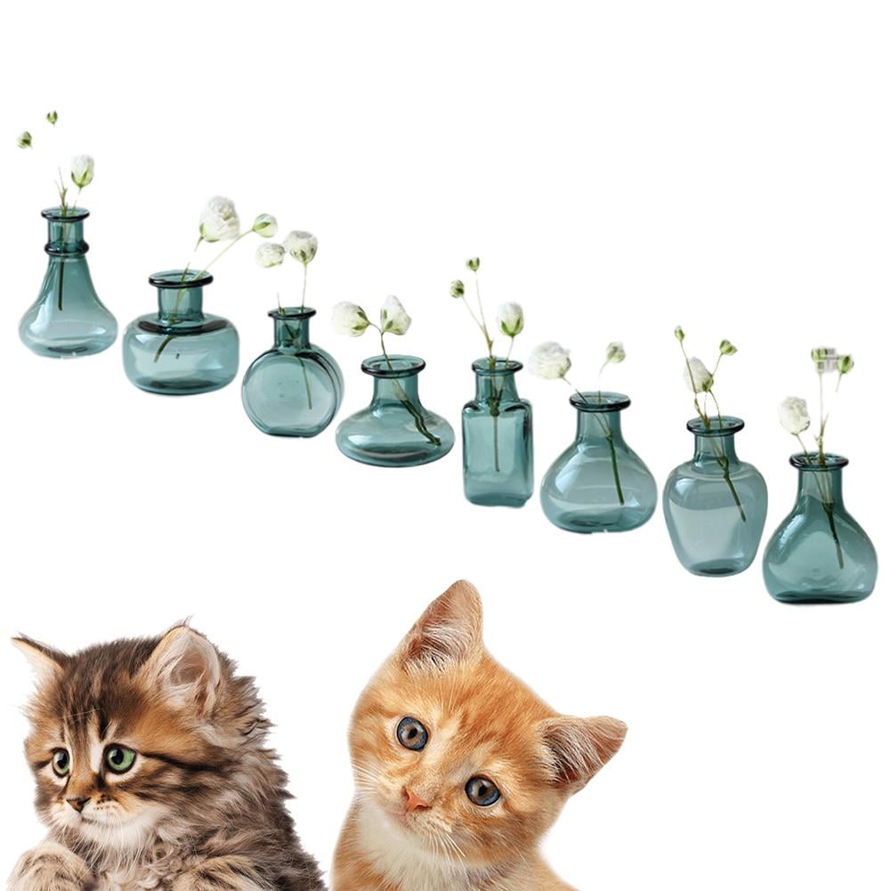 Blarkrus Tiny Vase for Cat Whisker Mini Vase for Cat Whiskers Miniature ...