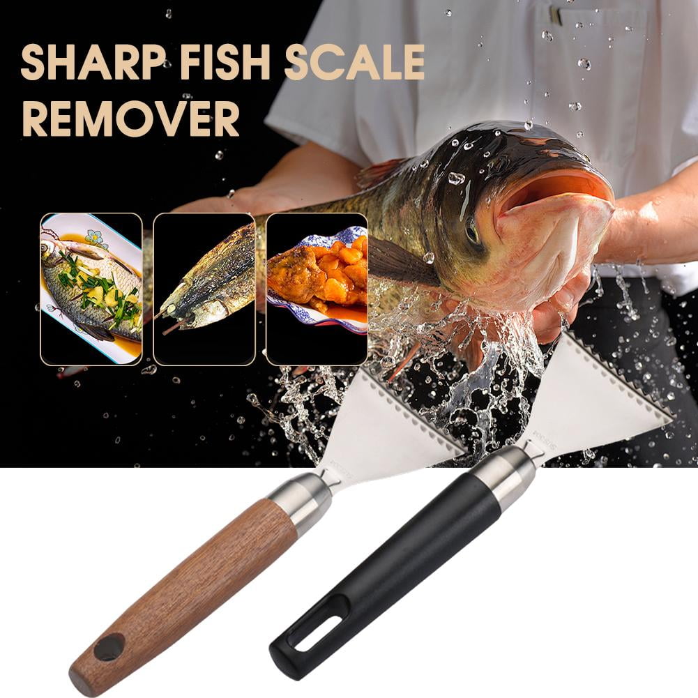 Blarkrus WAMXYH 304 Stainl Stl Fish Scale Remover Wood Handle Scraper ...