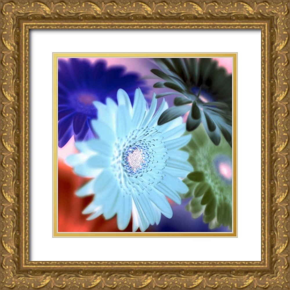 Blaustein, Alan 12x12 Gold Ornate Wood Framed with Double Matting ...