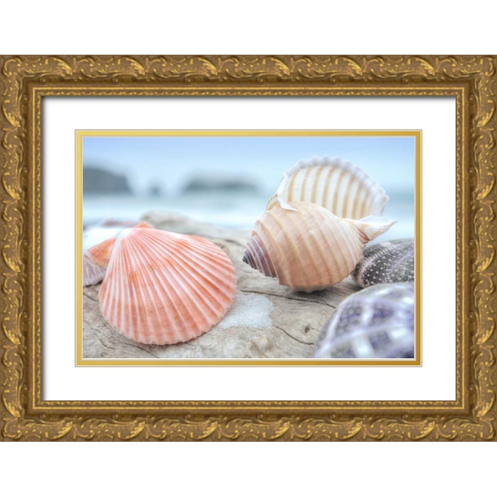 Blaustein, Alan 14x11 Gold Ornate Wood Framed with Double Matting ...