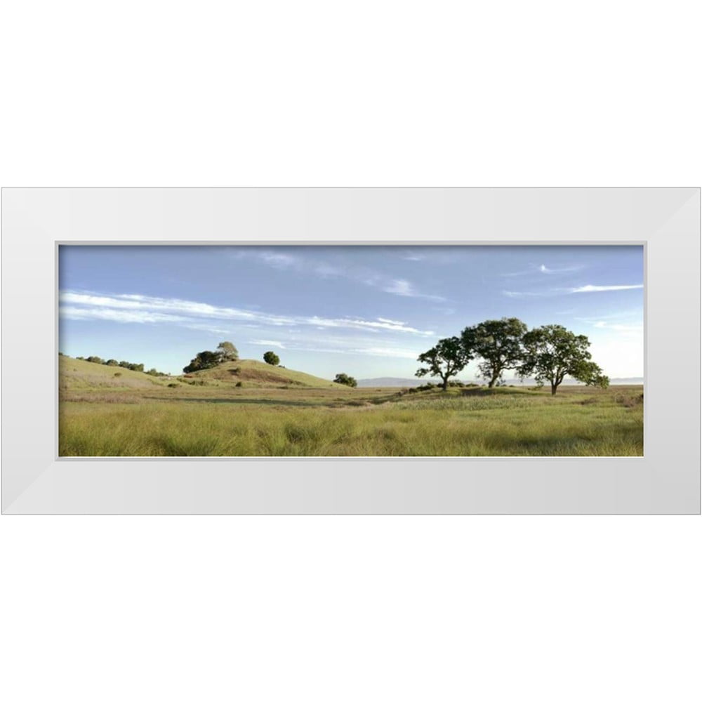 Blaustein, Alan 14x8 White Modern Wood Framed Museum Art Print Titled ...