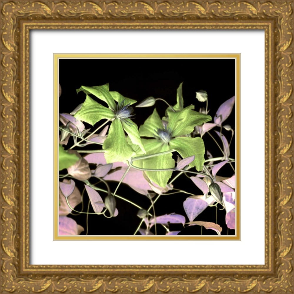 Blaustein, Alan 15x15 Gold Ornate Wood Framed with Double Matting ...