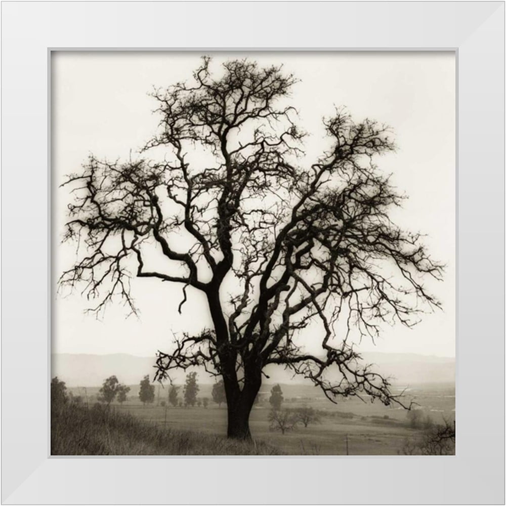 Blaustein, Alan 15x15 White Modern Wood Framed Museum Art Print Titled ...
