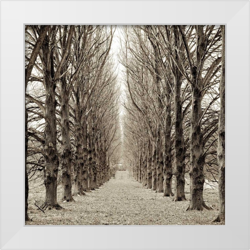 Blaustein, Alan 15x15 White Modern Wood Framed Museum Art Print Titled ...