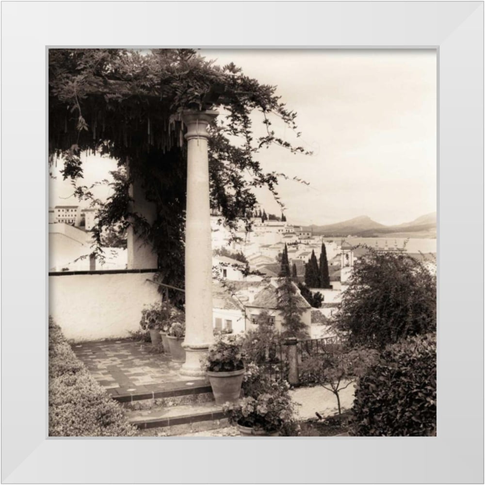 Blaustein, Alan 15x15 White Modern Wood Framed Museum Art Print Titled ...