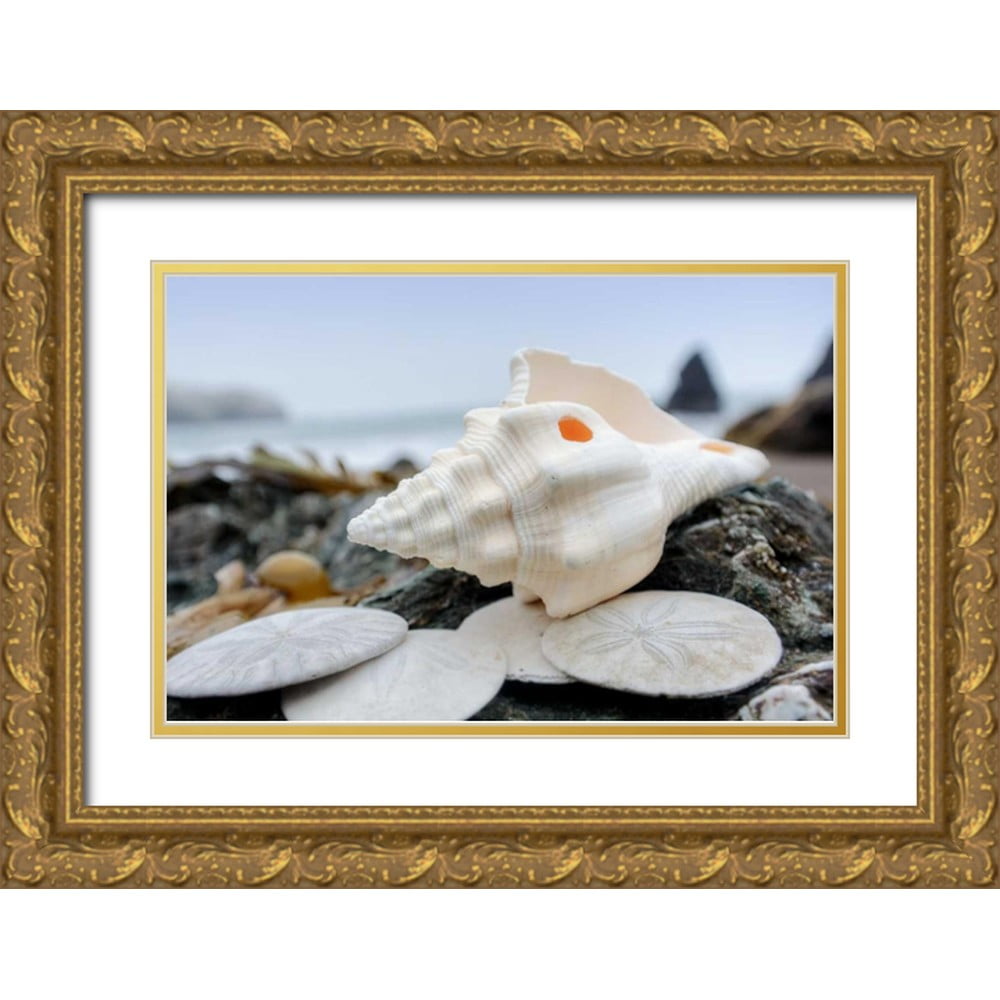 Blaustein, Alan 18x13 Gold Ornate Wood Framed with Double Matting ...