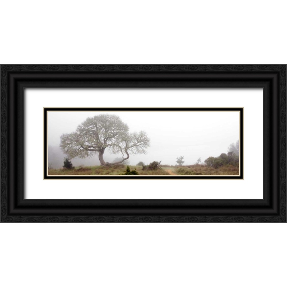 Blaustein, Alan 18x9 Black Ornate Wood Framed with Double Matting ...