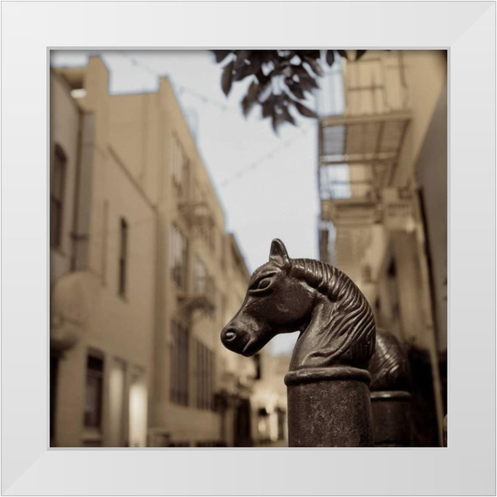 Blaustein, Alan 20x20 White Modern Wood Framed Museum Art Print Titled ...