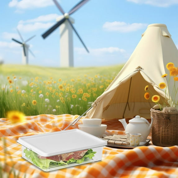 Blaxill Fruit and Vegetable Preservation Storage Box | PET Plastic ...