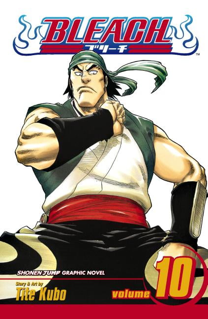 Bleach Bleach, Vol. 10: Tattoo on the Sky, (Paperback) - Walmart.com