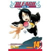Bleach: Bleach, Vol. 14 (Series #14) (Paperback) - Walmart.com