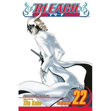 Bleach: Bleach, Vol. 46 (Series #46) (Paperback) - Walmart.com