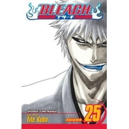 Bleach Bleach, Vol. 14, (Paperback) - Walmart.com