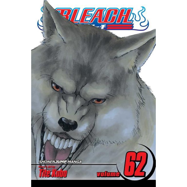 Bleach Manga Cover 62