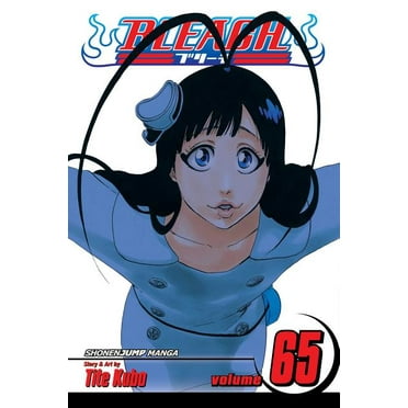 Bleach: Bleach, Vol. 54 (Series #54) (Paperback) - Walmart.com