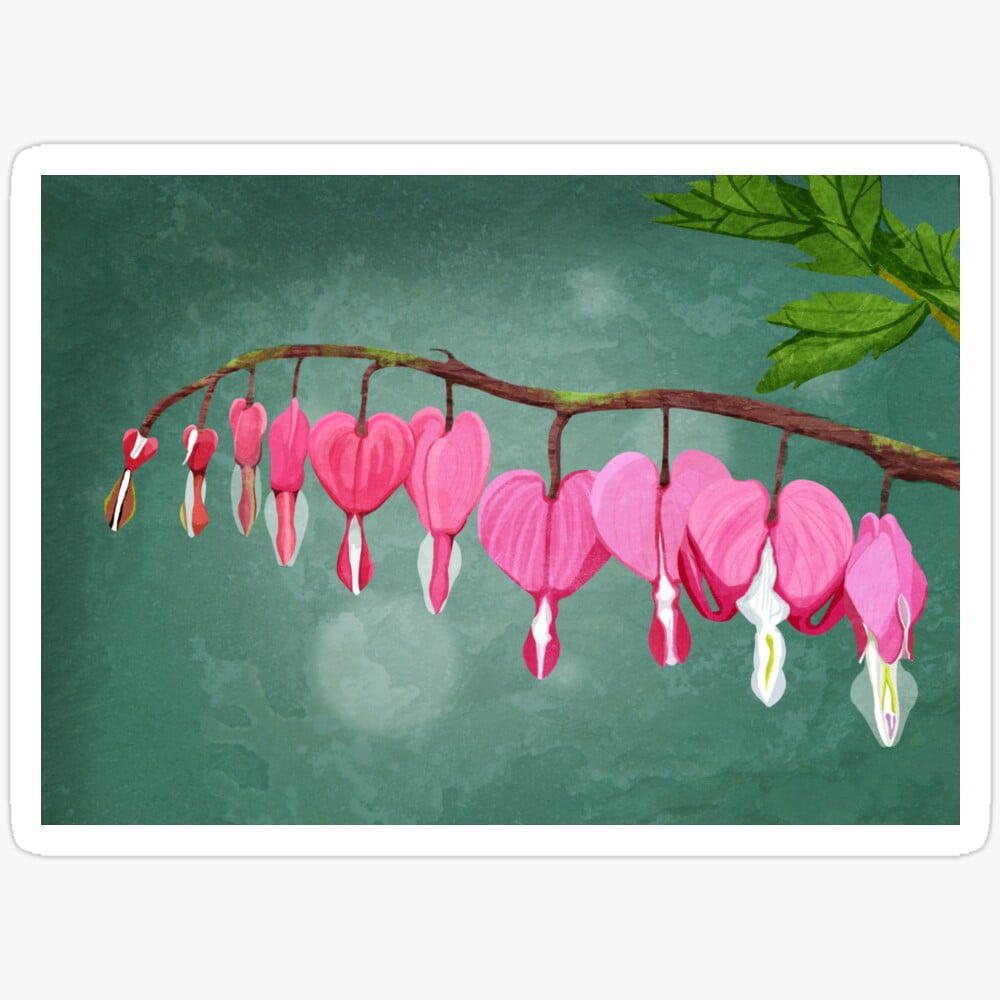 Bleeding Hearts Sticker Phone Decal Water Bottle Stickers Car Decals ...
