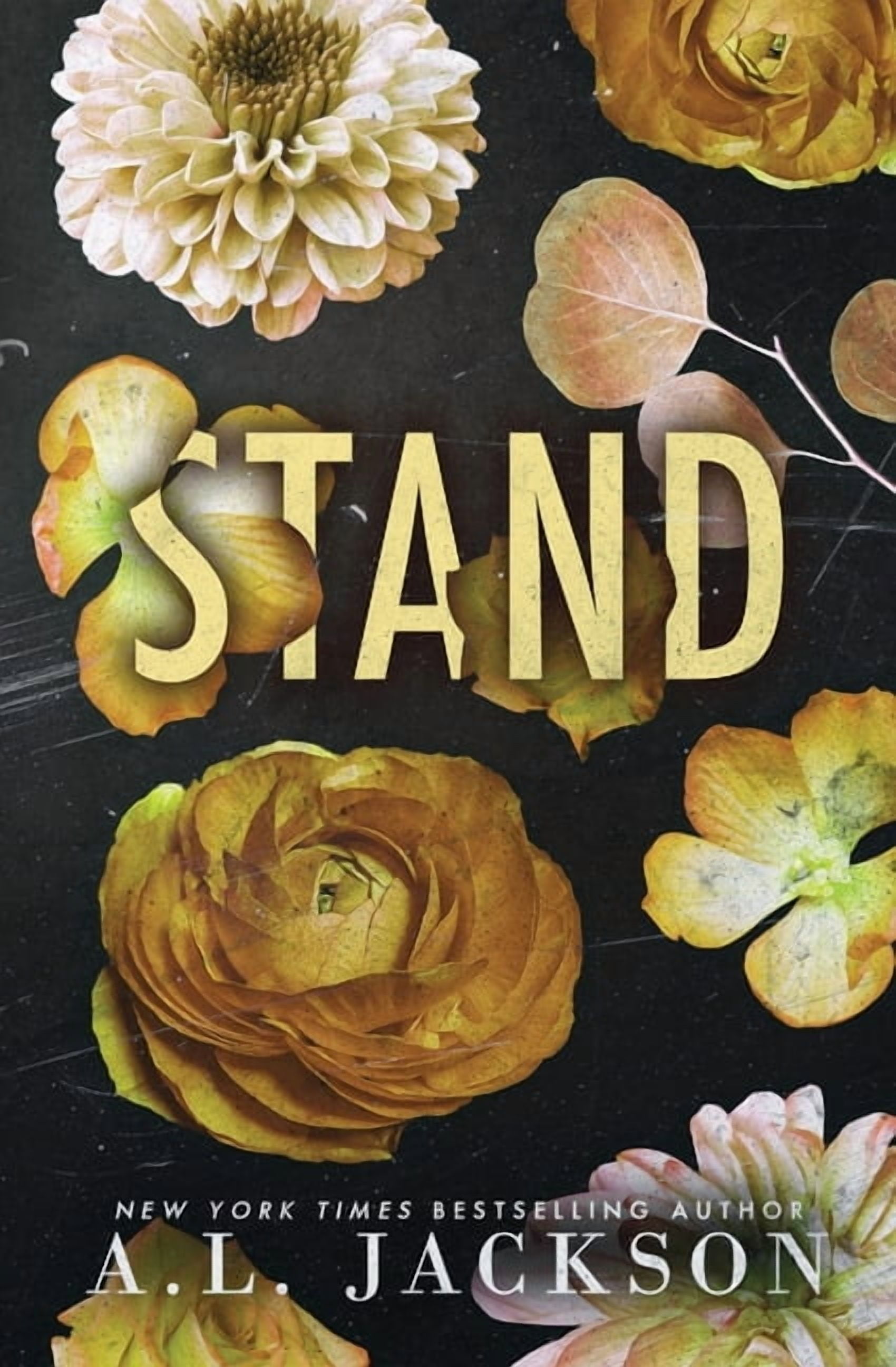 Bleeding Stars Stand (Special Edition Paperback), Book 6, (Paperback ...