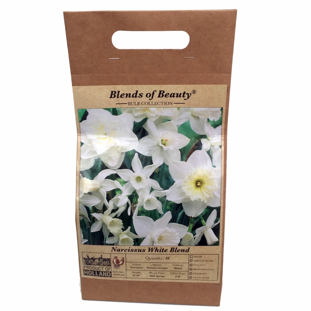 Blends of Beauty White Daffodil Mix - 16 Bulbs - Dutch Bulb Bag ...