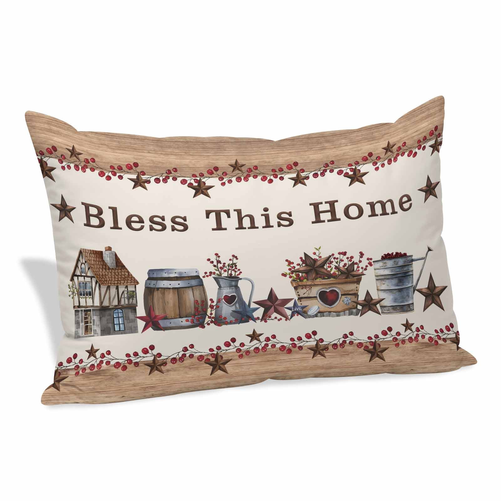 Bless This Pillow Covers 20x30 Inch, Home Farmhouse Country Star Barn ...